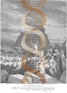 Genesis 6 Giants – Online Ministries